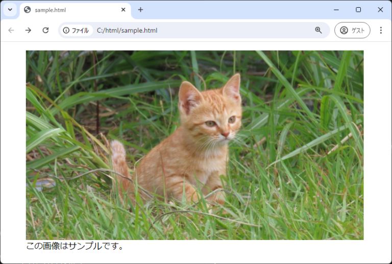 figcaptionタグの使い方 [HTMLリファレンス] - GeekBlocks